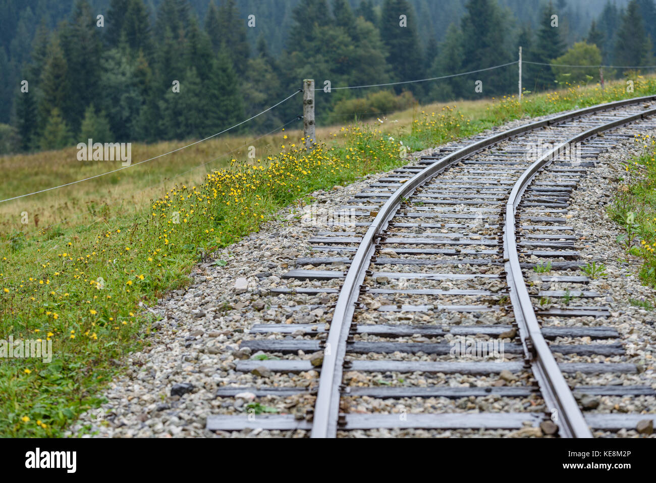 wavy railroad tracks in wet summer day in forest with green meadow on ...