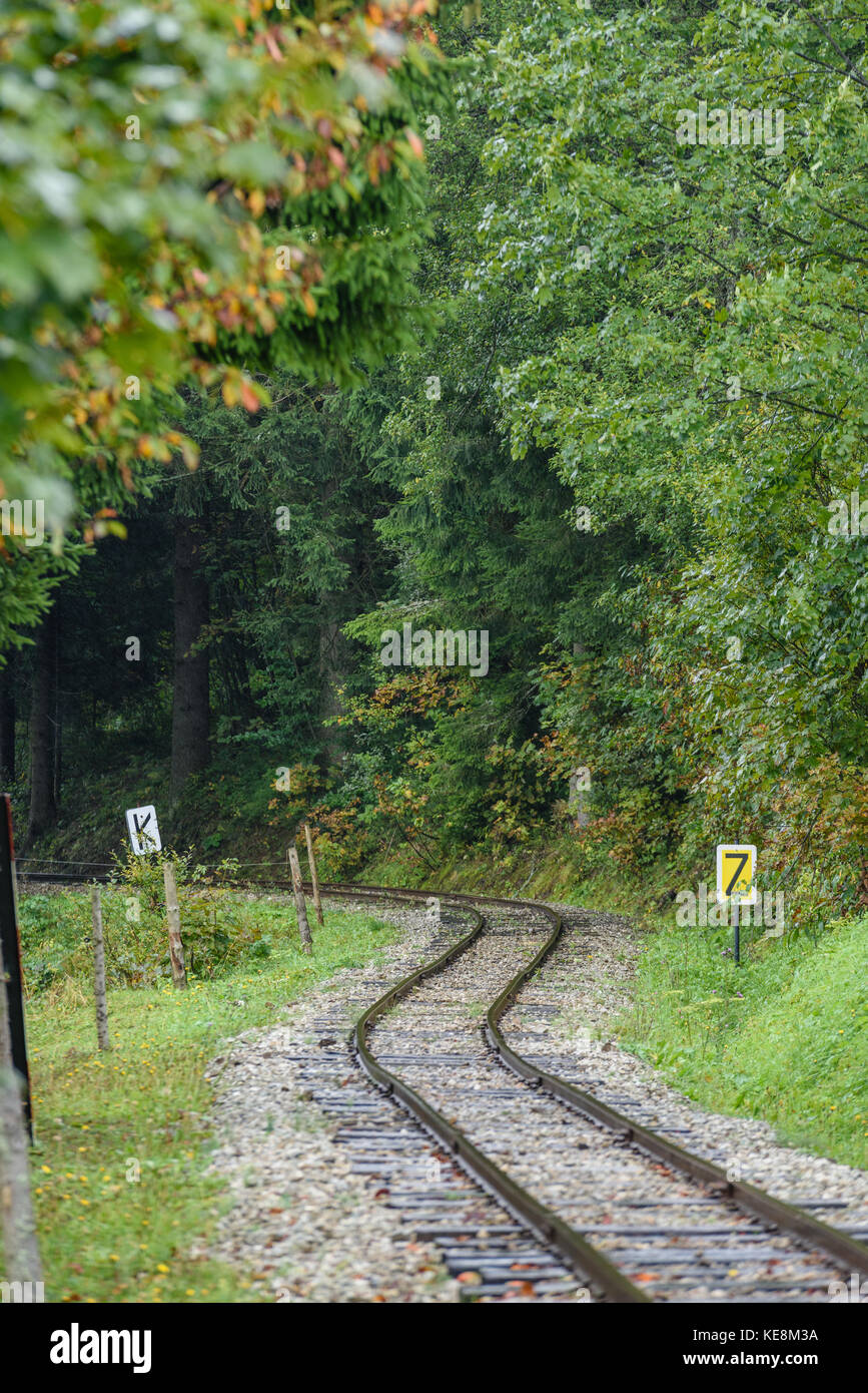 wavy railroad tracks in wet summer day in forest with green meadow on ...