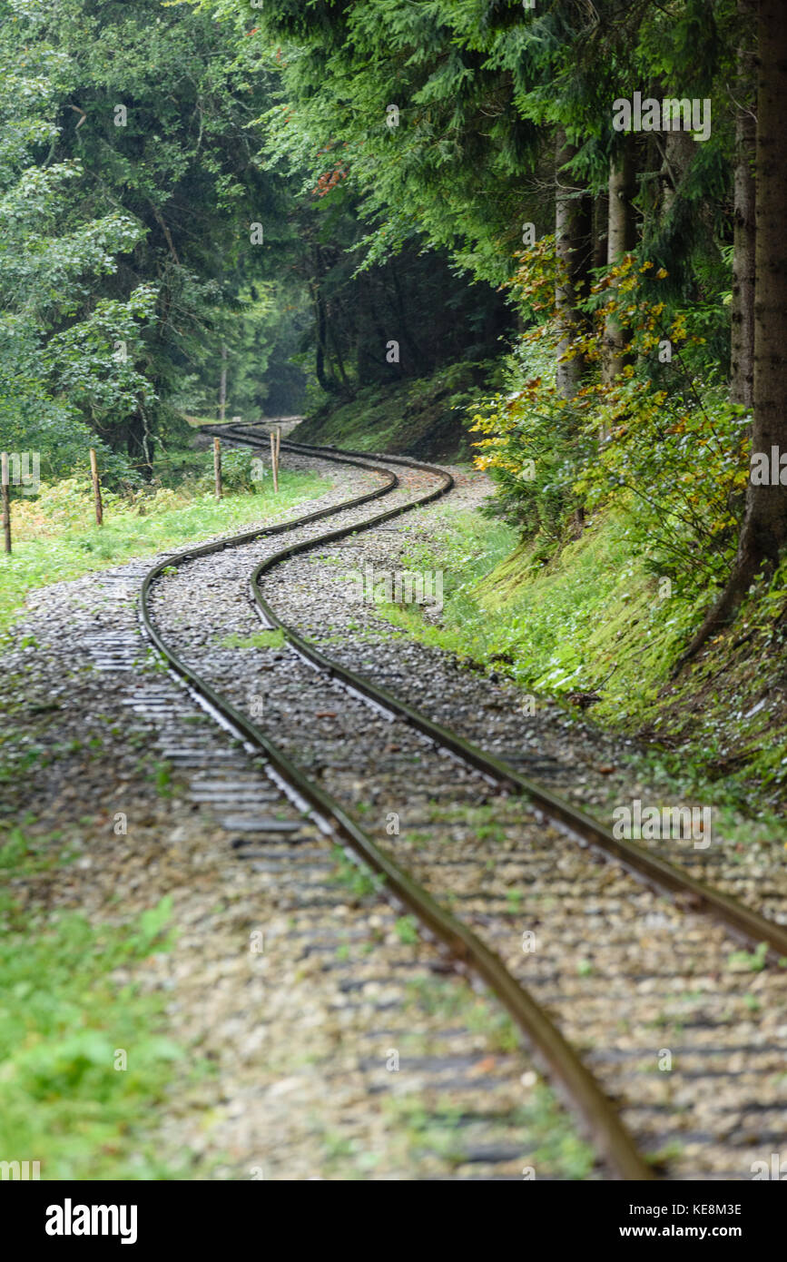 wavy railroad tracks in wet summer day in forest with green meadow on ...