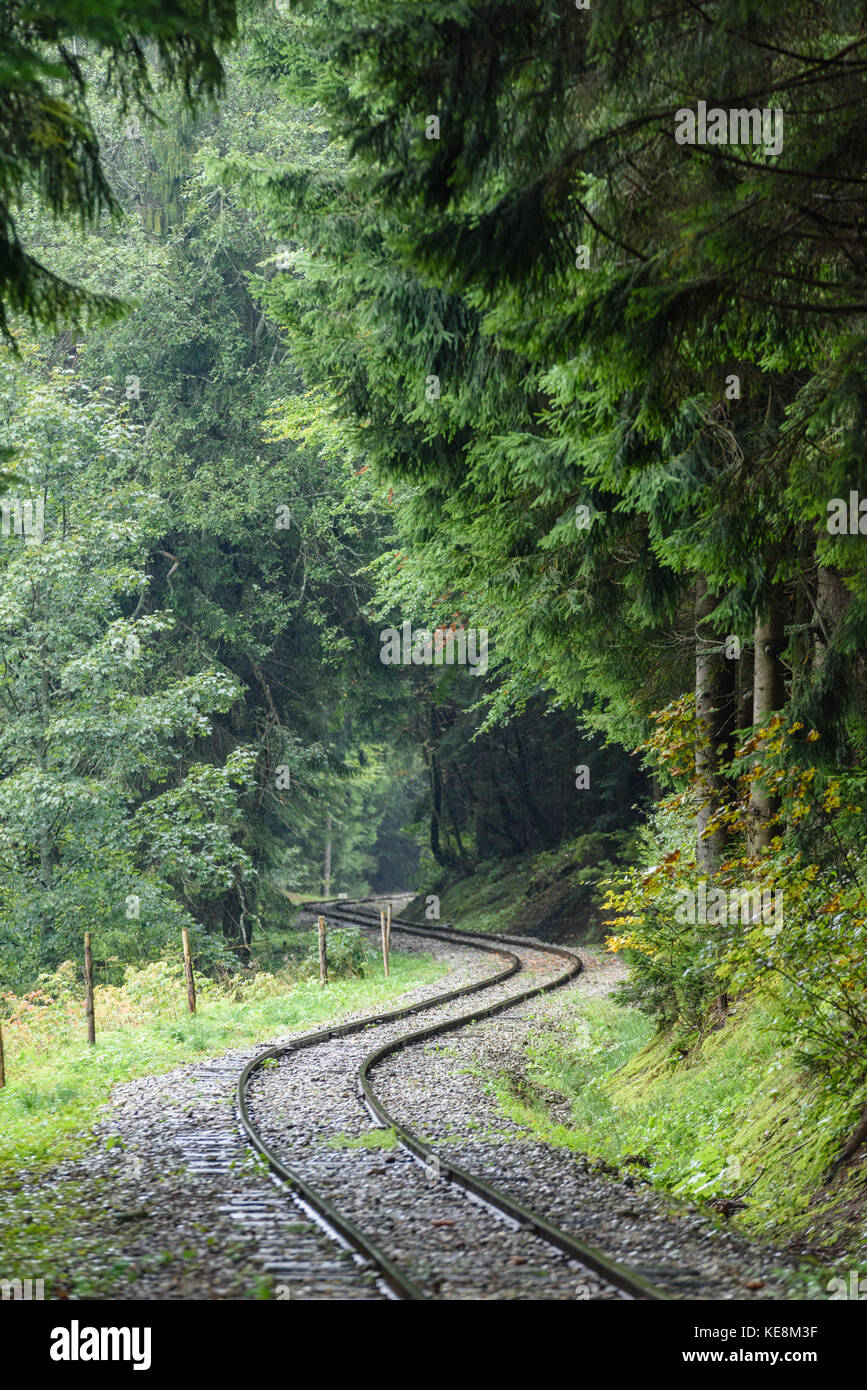 wavy railroad tracks in wet summer day in forest with green meadow on ...