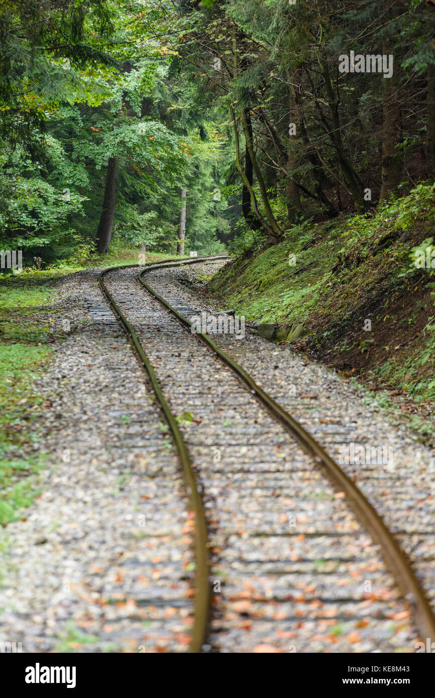 wavy railroad tracks in wet summer day in forest with green meadow on ...