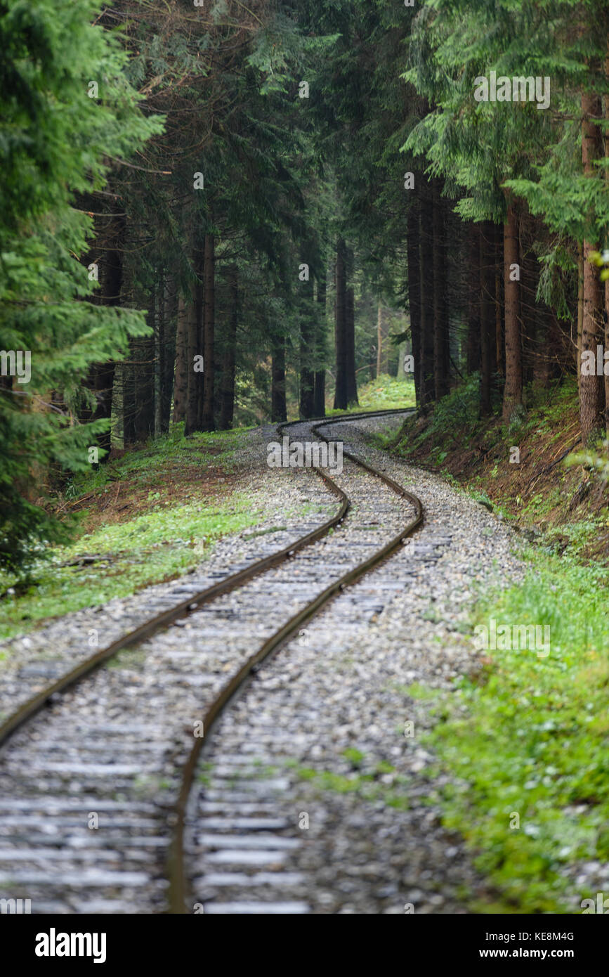 wavy railroad tracks in wet summer day in forest with green meadow on ...