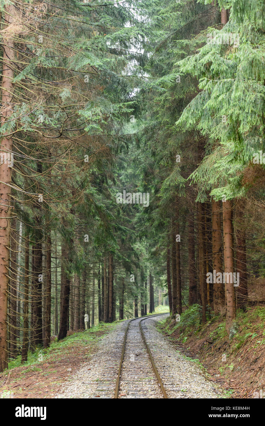 wavy railroad tracks in wet summer day in forest with green meadow on ...