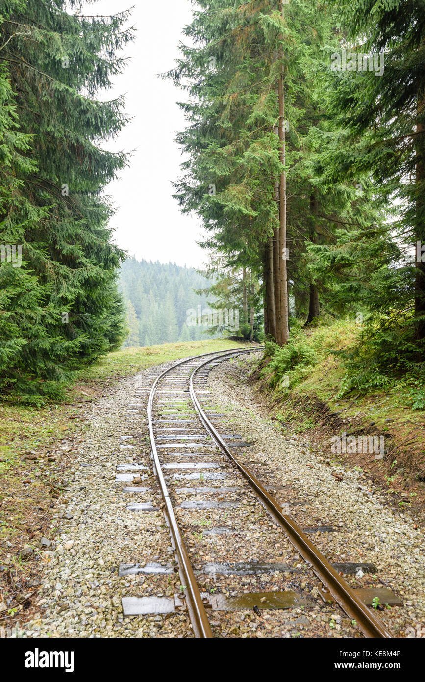 wavy railroad tracks in wet summer day in forest with green meadow on ...