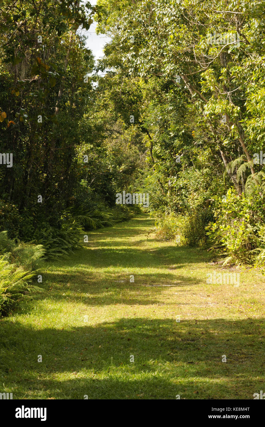 Hidden walkway hi-res stock photography and images - Alamy