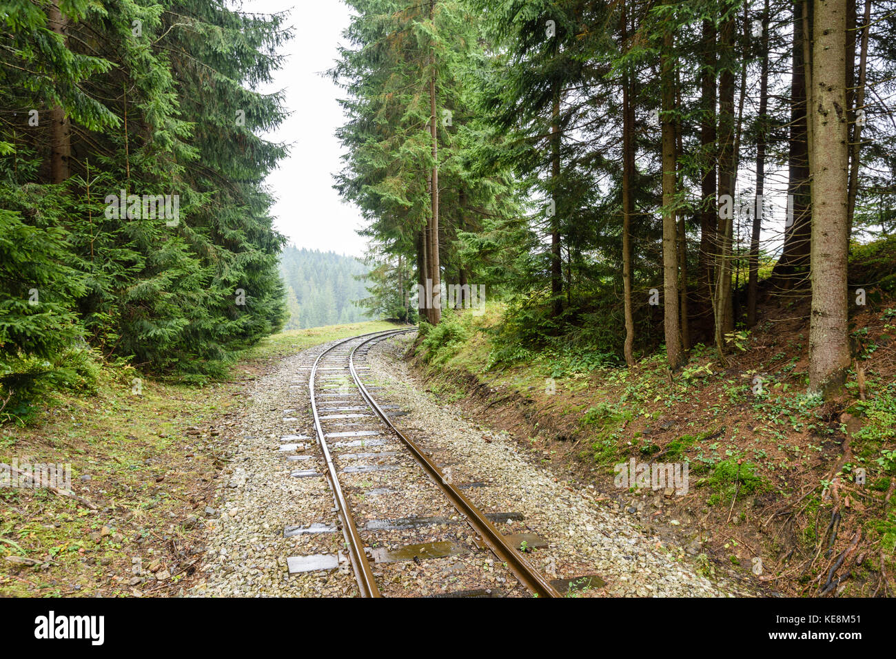 wavy railroad tracks in wet summer day in forest with green meadow on ...