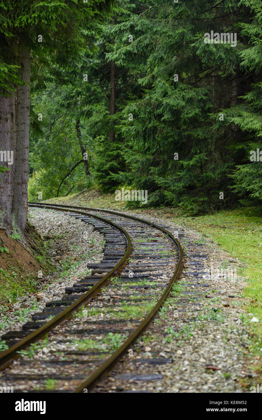 wavy railroad tracks in wet summer day in forest with green meadow on ...