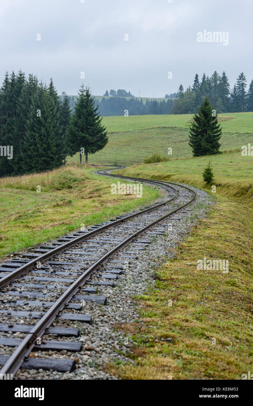 wavy railroad tracks in wet summer day in forest with green meadow on ...