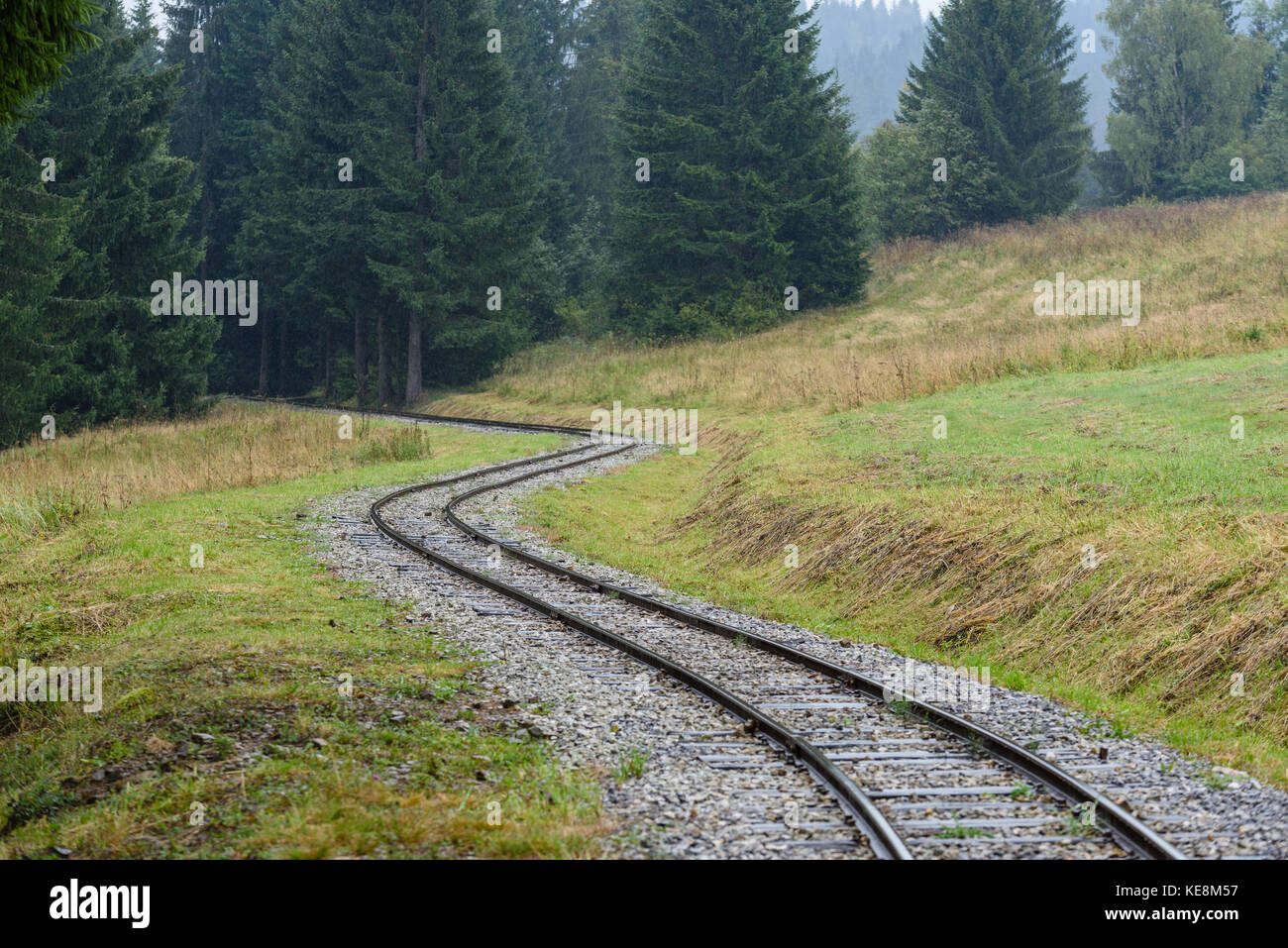 wavy railroad tracks in wet summer day in forest with green meadow on ...