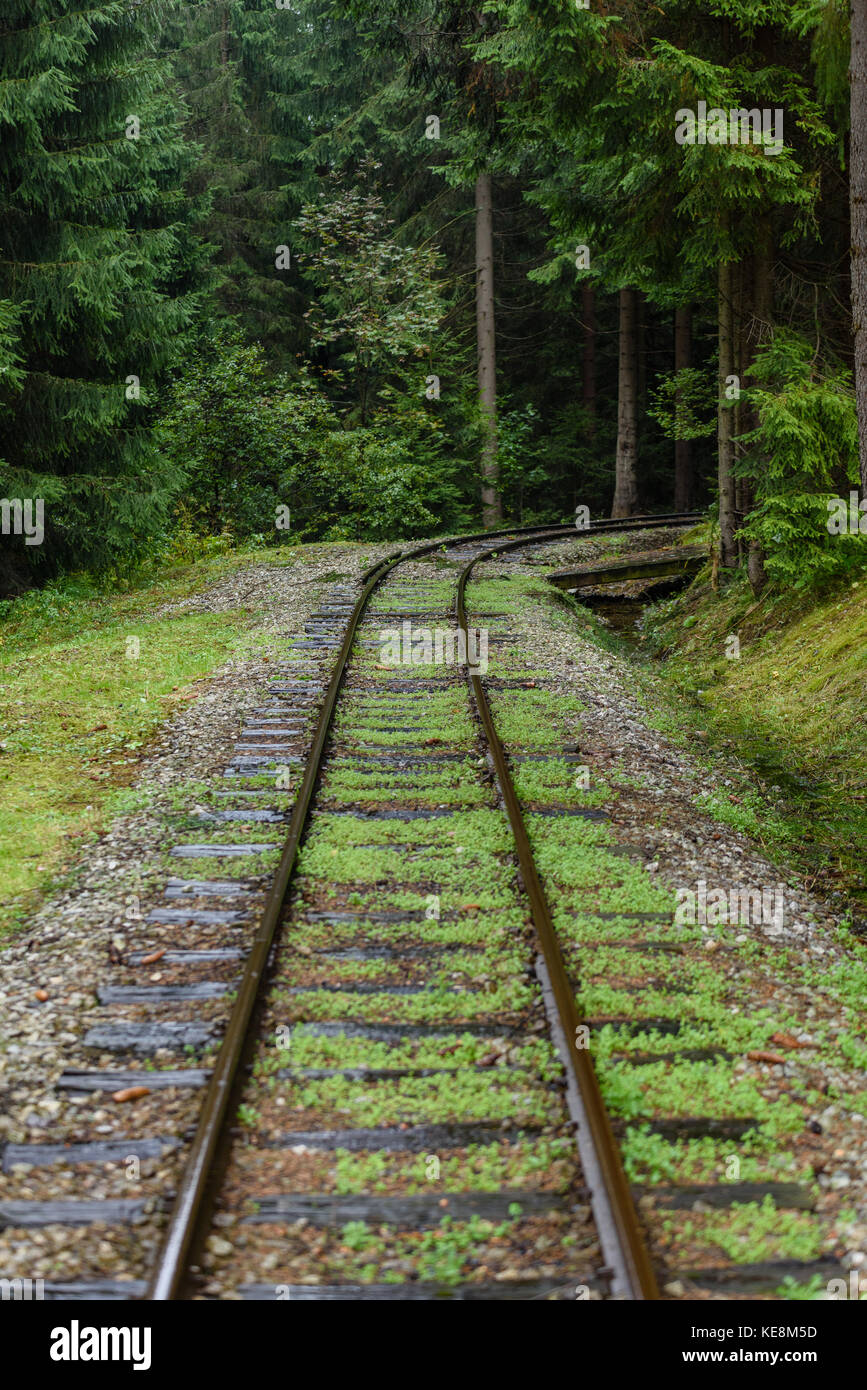 wavy railroad tracks in wet summer day in forest with green meadow on ...
