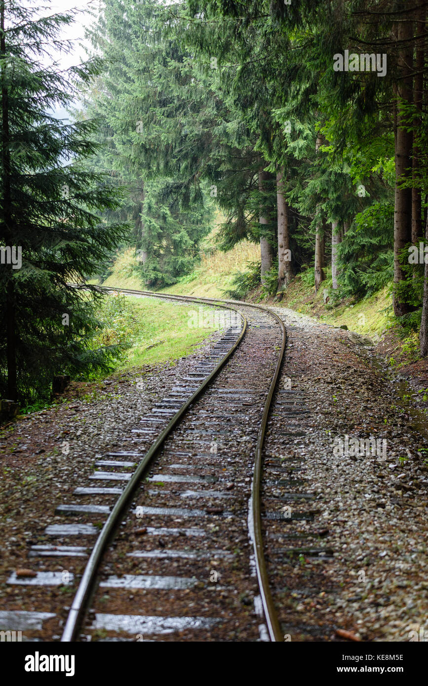 wavy railroad tracks in wet summer day in forest with green meadow on ...