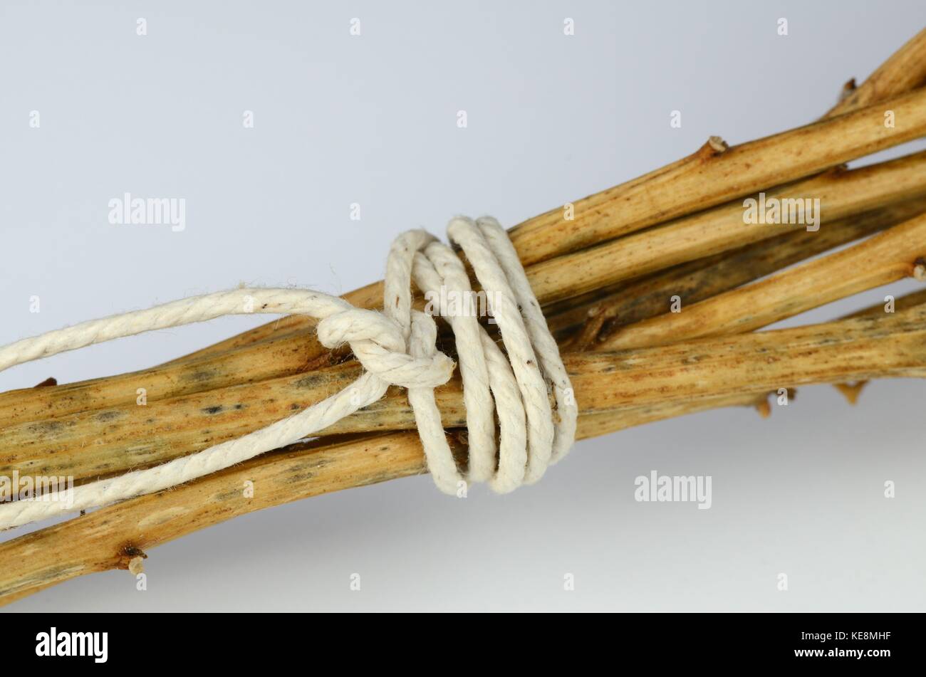 Tied twigs hi-res stock photography and images - Alamy
