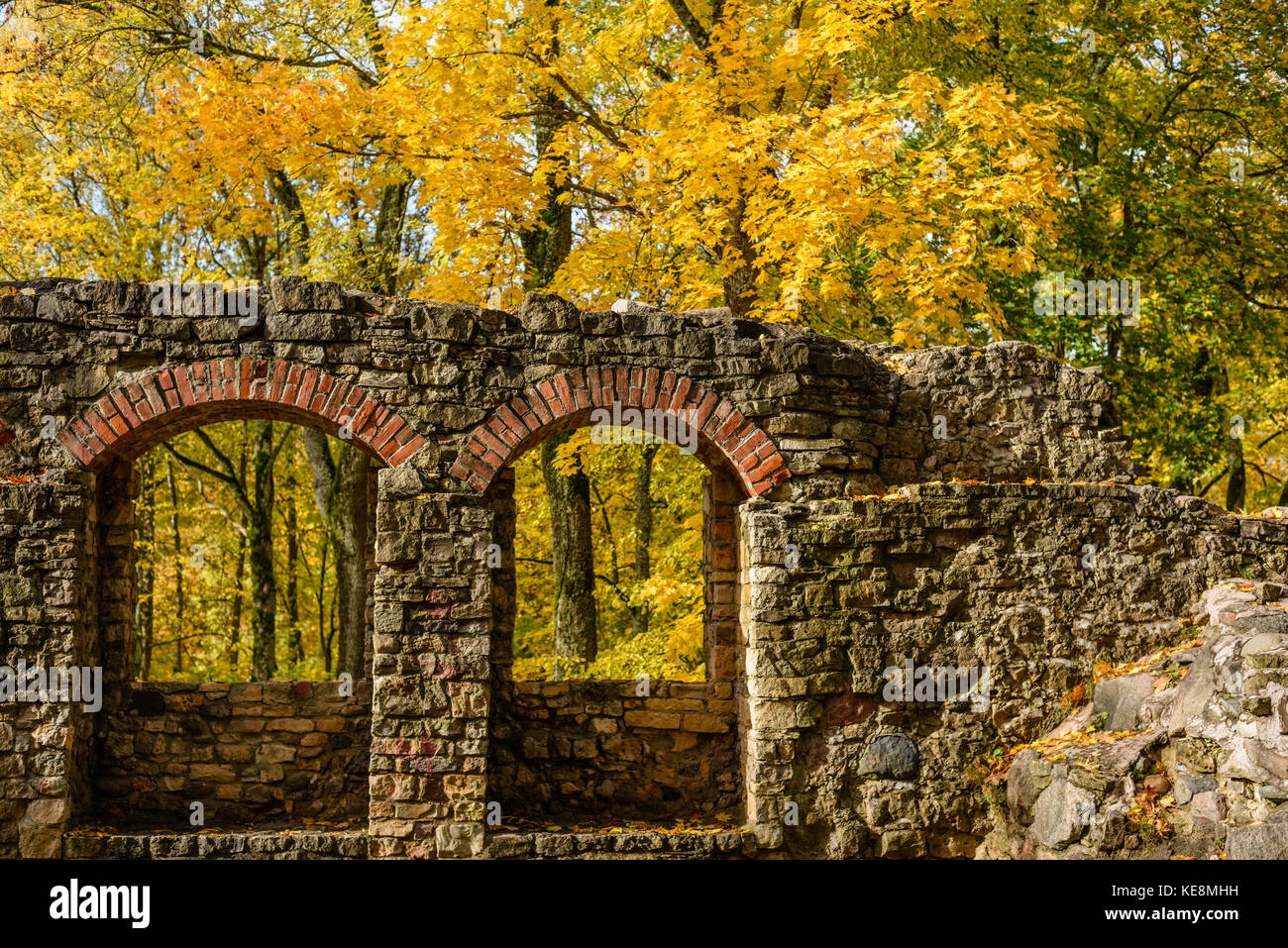 ruins of old abandoned stone brick castle in autumn with yellow colored ...