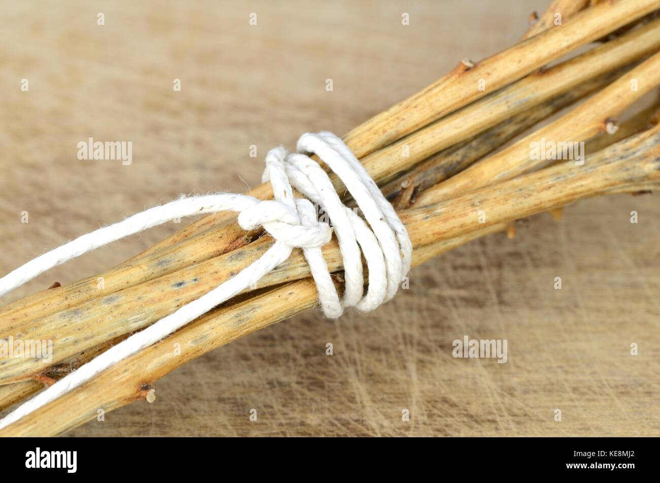 Close up of twigs tied with string Stock Photo - Alamy
