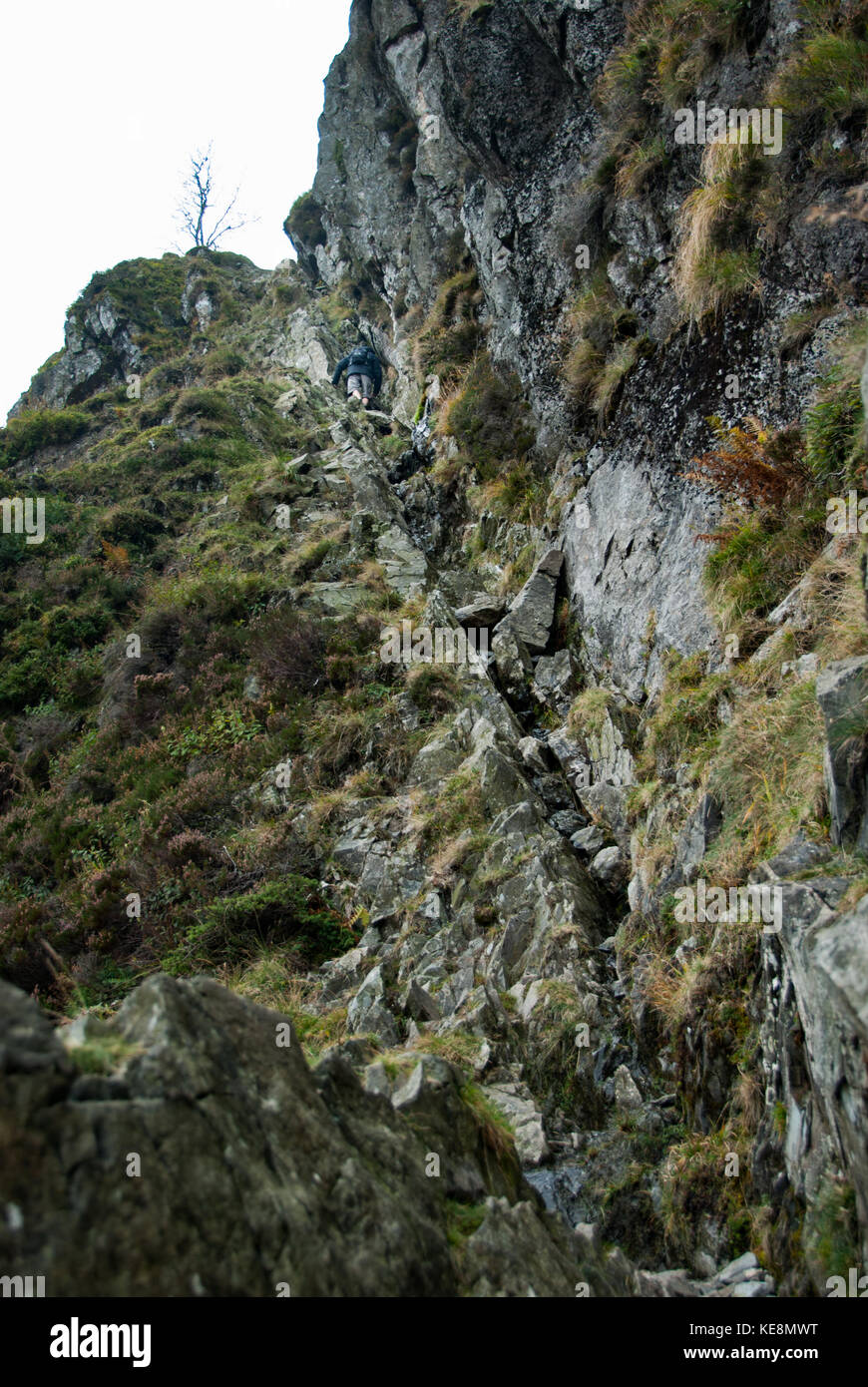 Jack's Rake High Resolution Stock Photography and Images - Alamy