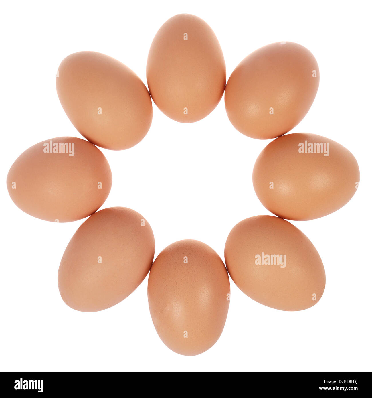 Eight eggs in circle. Isolated on a white background. Clipping path ...