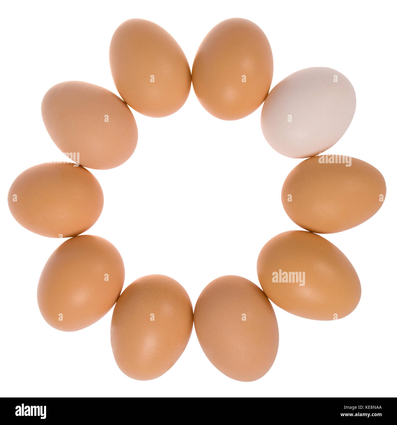 Ten eggs in circle. One egg white. Isolated on a white background ...