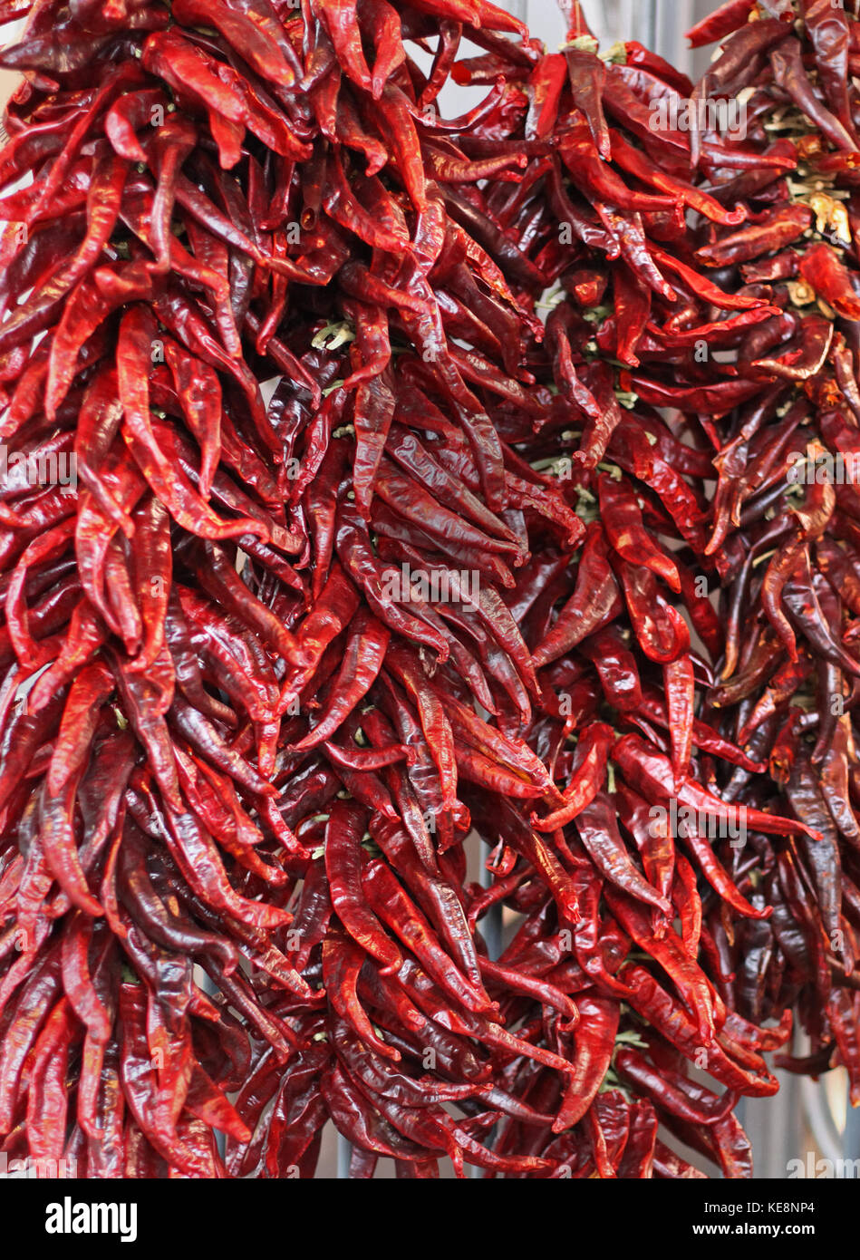 Bunch of red chili peppers hanging outside on market Stock Photo - Alamy