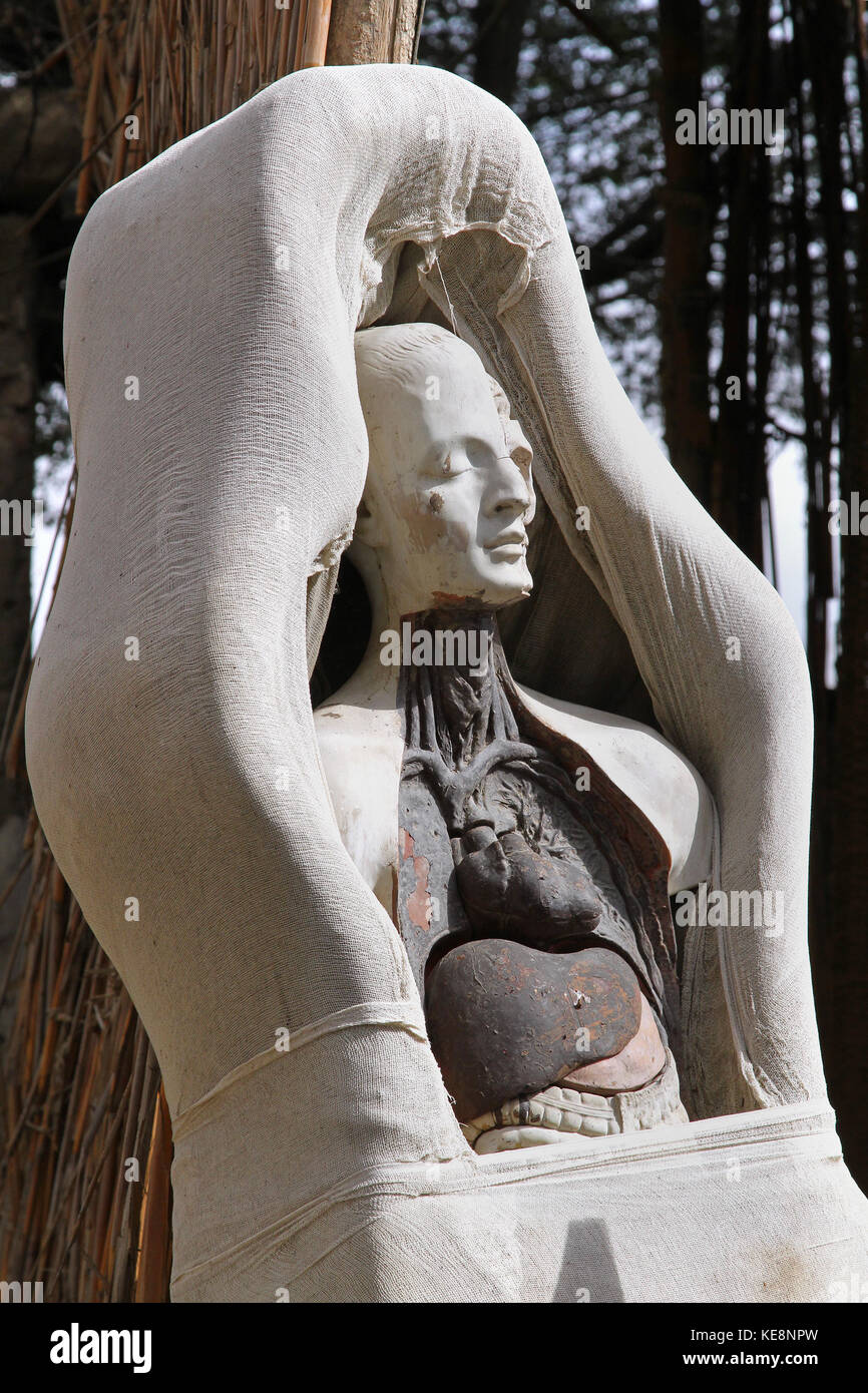 Embalming process hi-res stock photography and images - Alamy