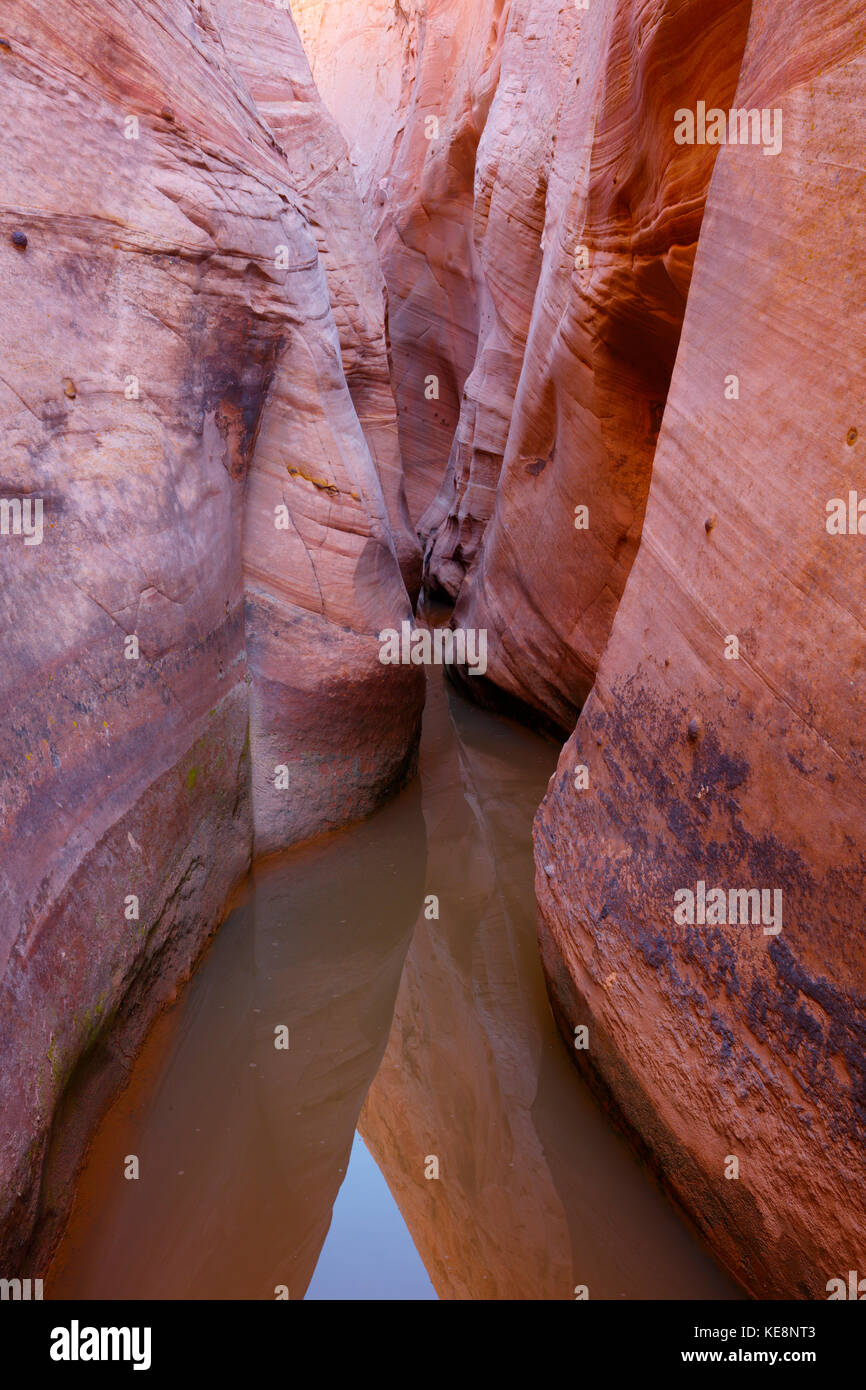 Zebra Slot Canyon in the Grand Staircase Escalante National Monument ...