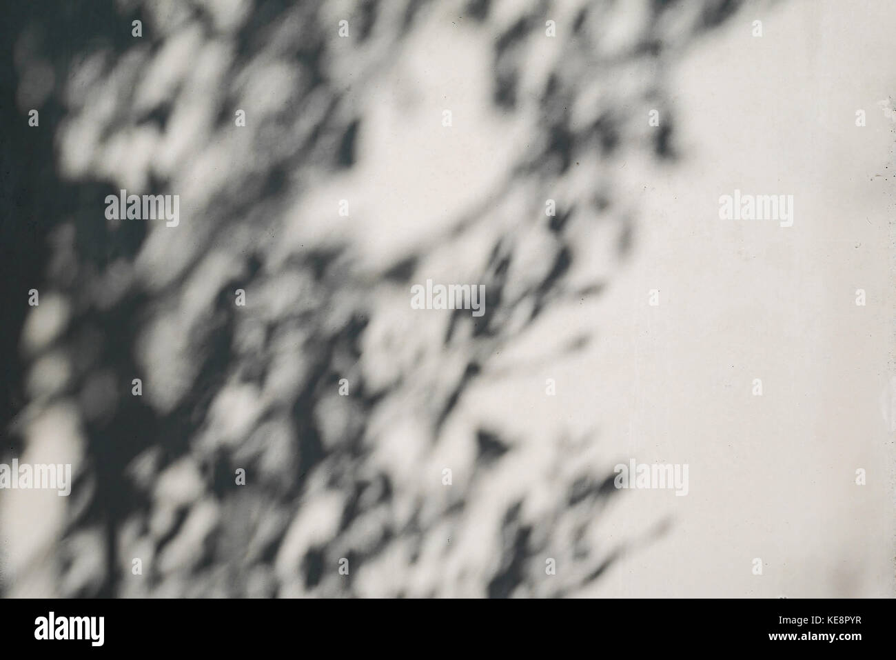 tree shadow on the white concrete wall pattern Stock Photo - Alamy