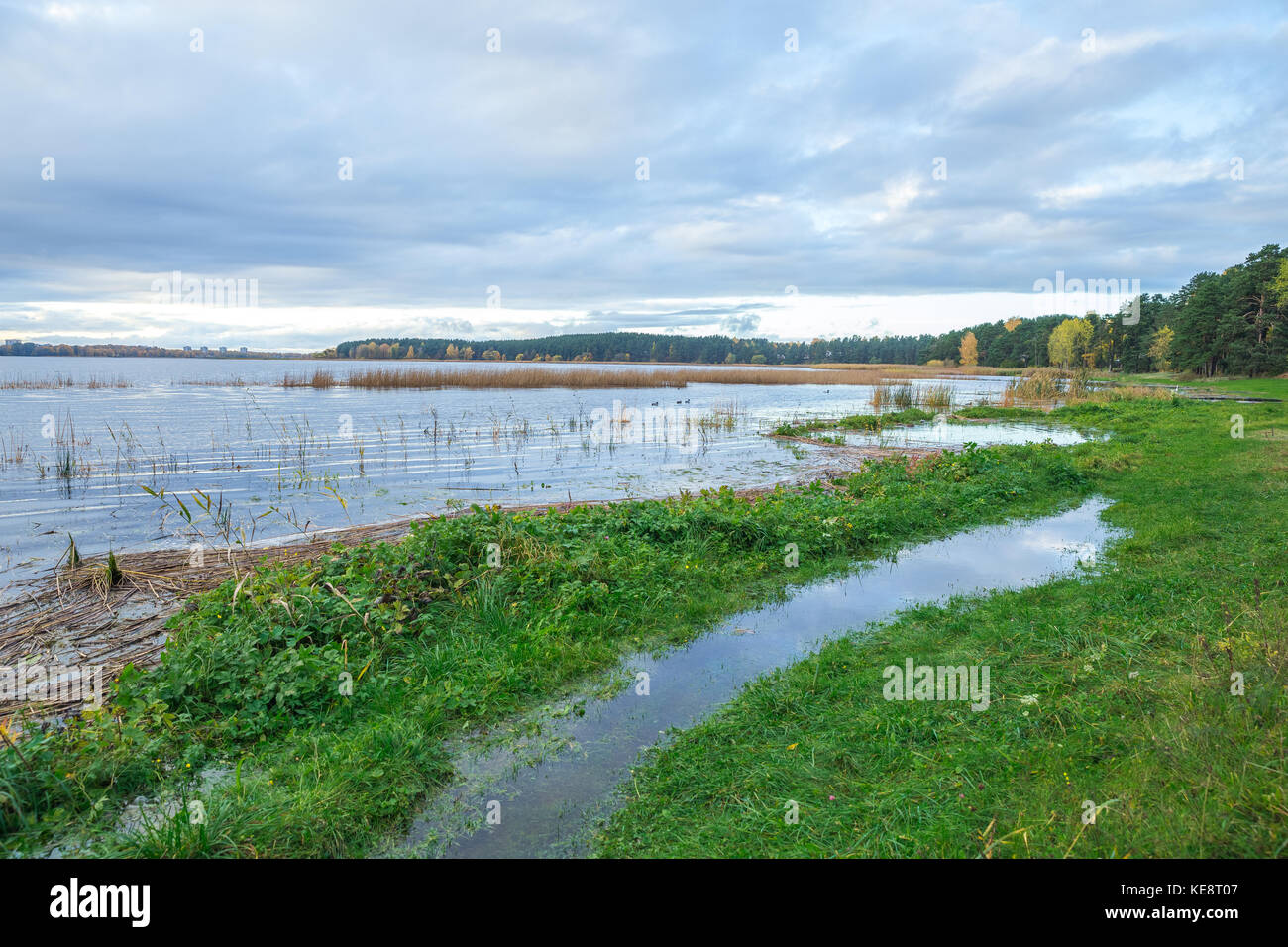 Lake in Riga, district Jugla. Autumn, yellow tree leaves, lake and ...