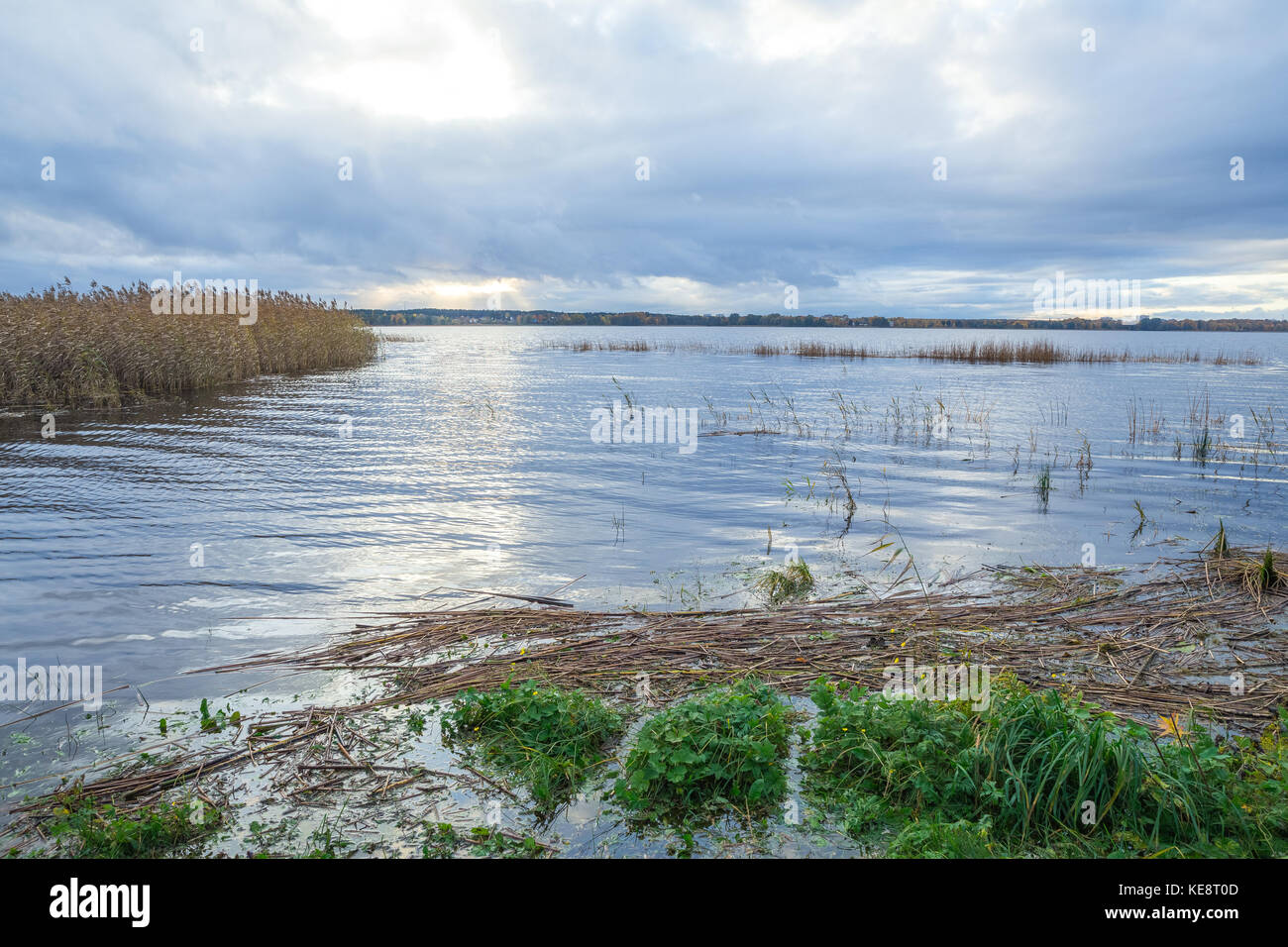 Lake in Riga, district Jugla. Autumn, yellow tree leaves, lake and ...