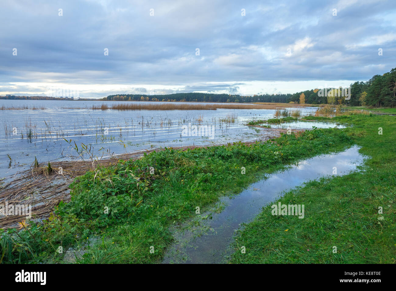 Lake in Riga, district Jugla. Autumn, yellow tree leaves, lake and ...
