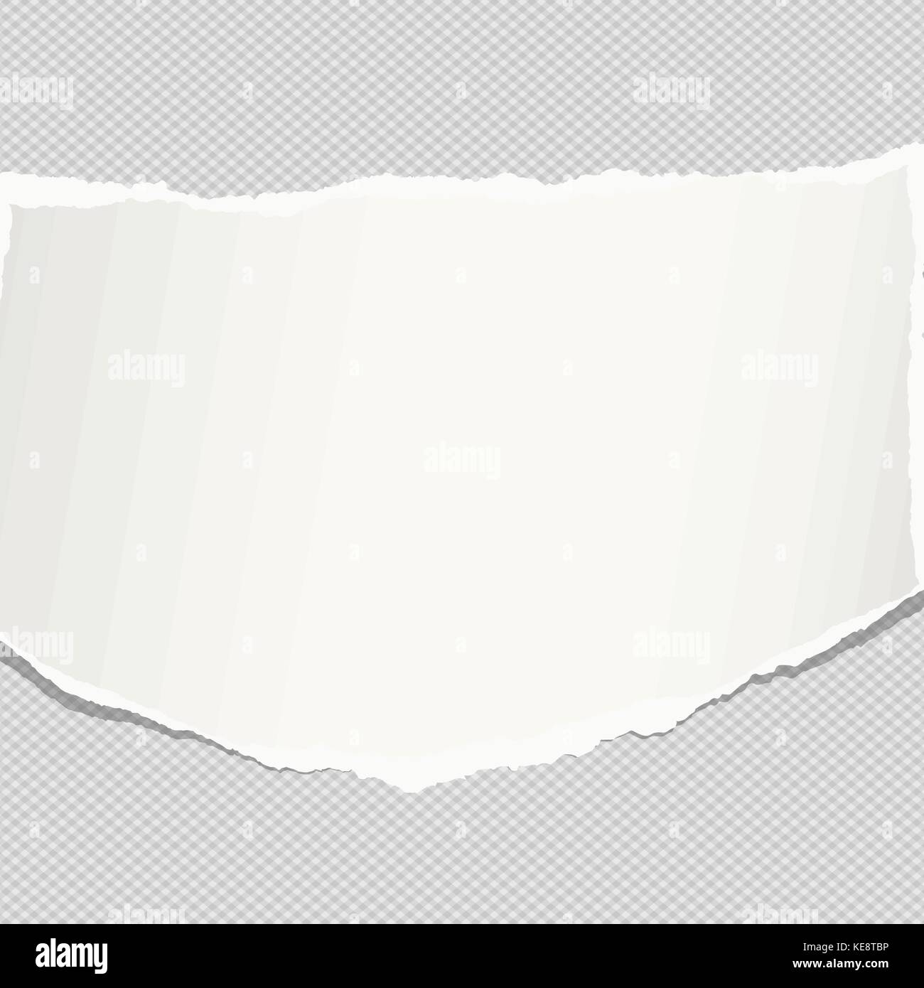 White ripped, notebook paper, note for text or message stuck on gray ...