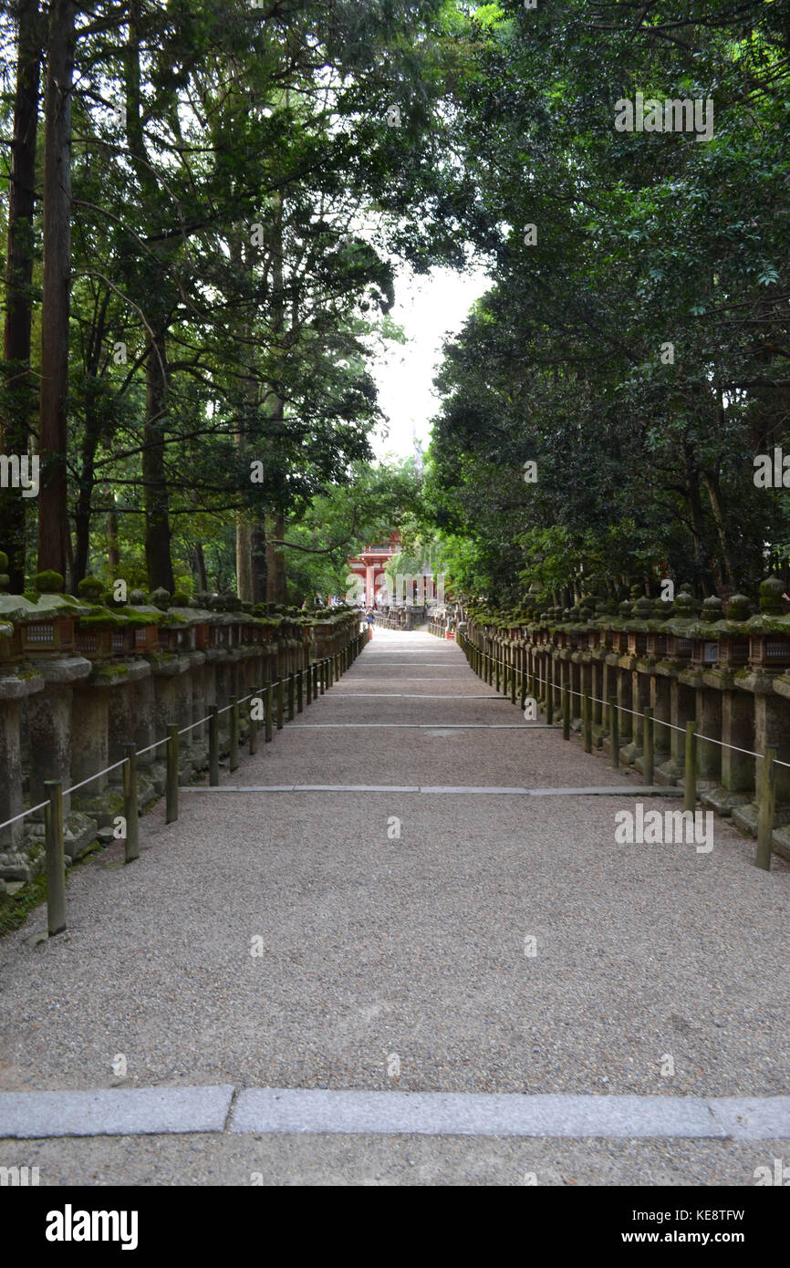 The Japanese shrine in Nara, Japan. With many 'toro's (lighting ...