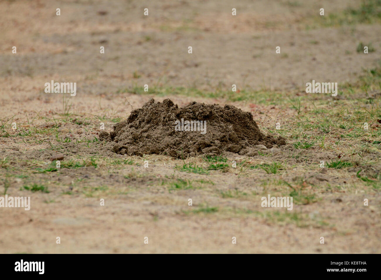 Mound of earth Stock Photo - Alamy