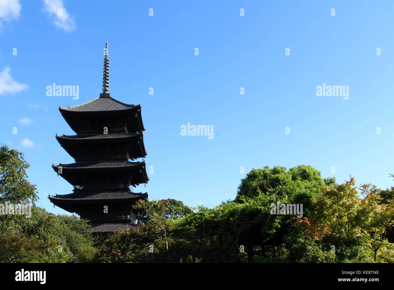 Walking closer to Toji Temple in Kyoto, Japan. It's a five-story pagoda ...