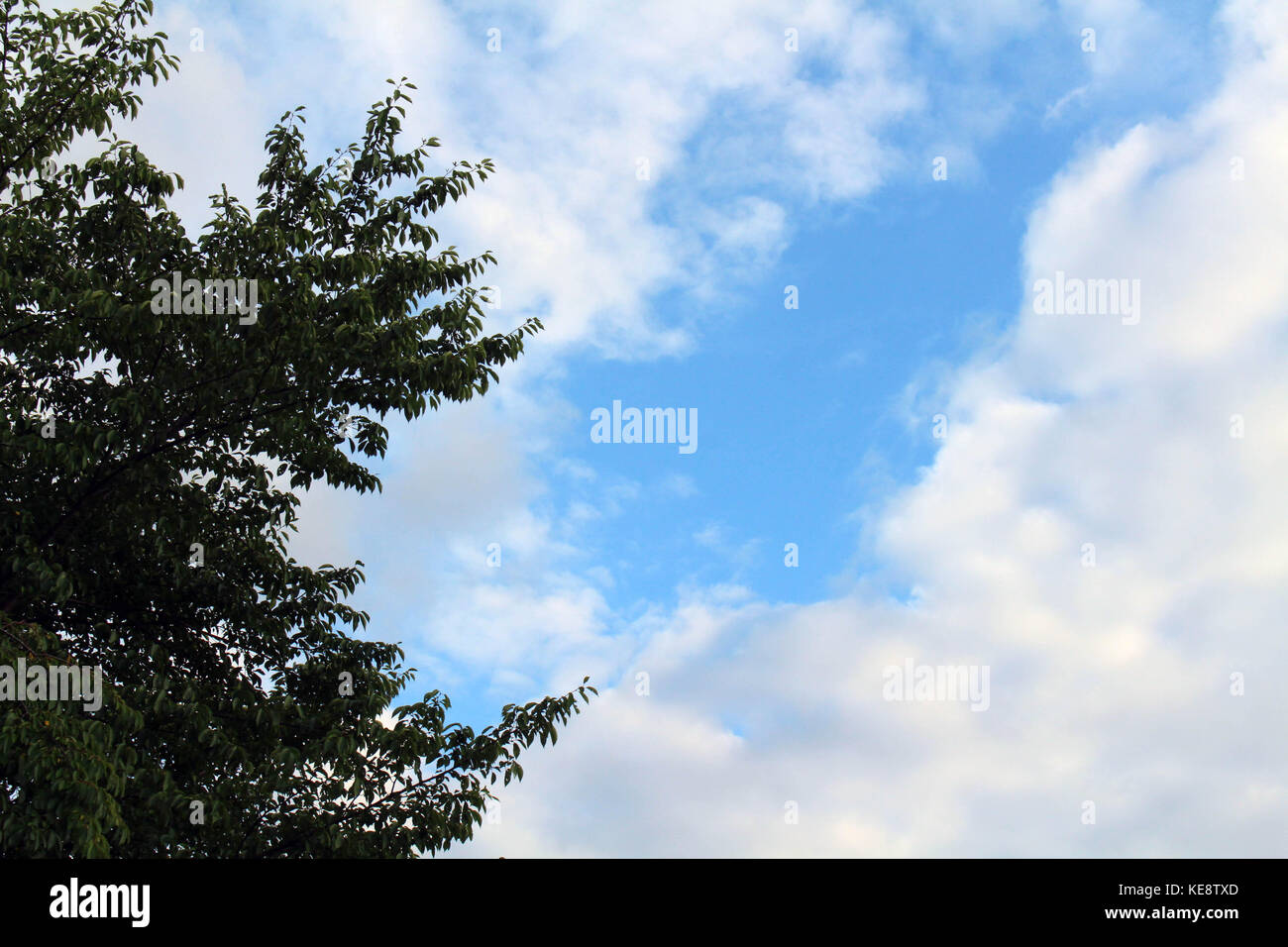 Finally, blue sky in Kyoto -even though it's still cloudy-. During my visit it was cloudy and a ...