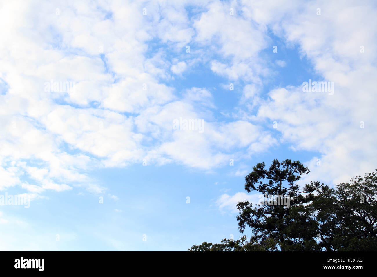 Finally, blue sky in Kyoto -even though it's still cloudy-. During my visit it was cloudy and a ...