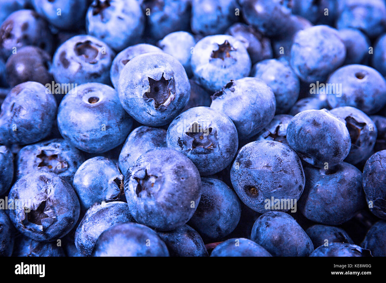 Fresh Blueberry Background. Texture blueberry berries close up Stock ...