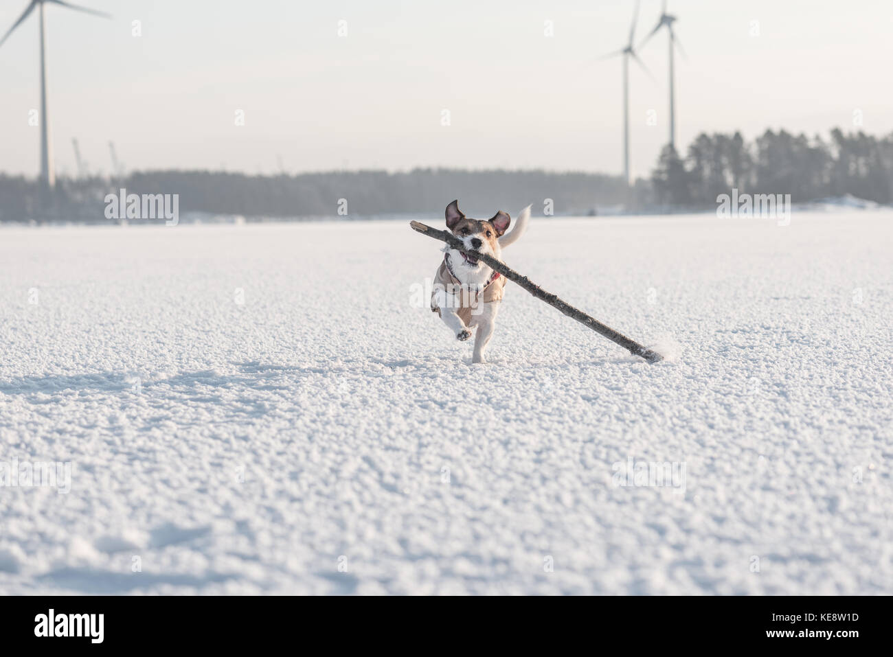 Generator production environment hi-res stock photography and images ...