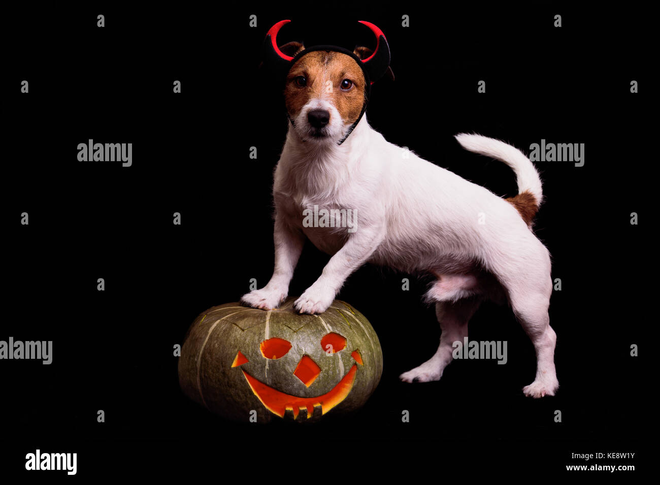 Devil costume hi-res stock photography and images - Alamy