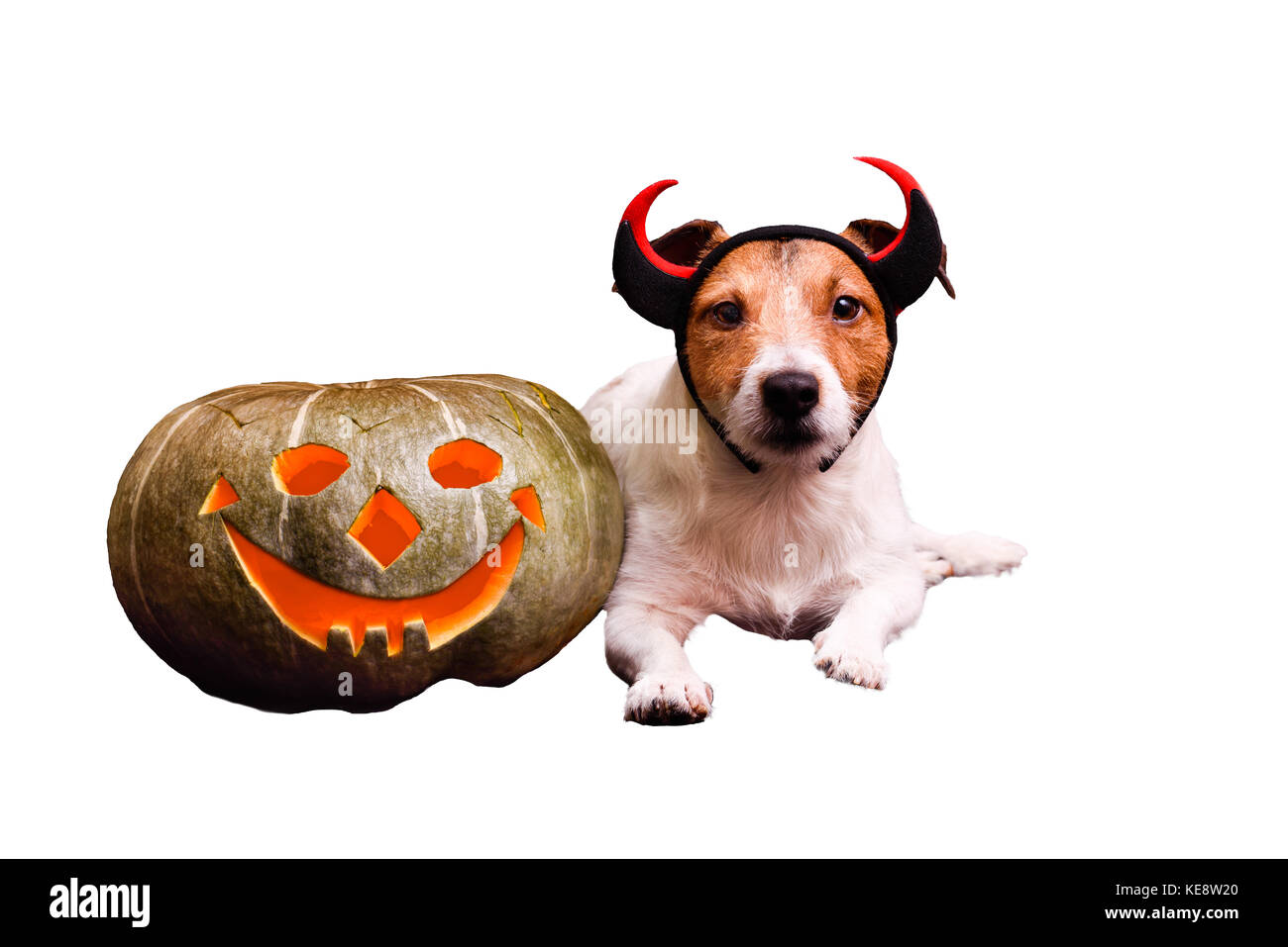 Funny fall down Cut Out Stock Images & Pictures - Alamy