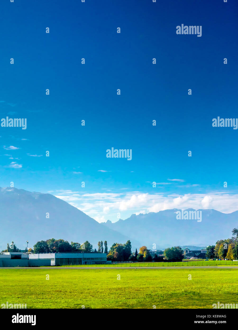 Luscious greenery hi-res stock photography and images - Alamy