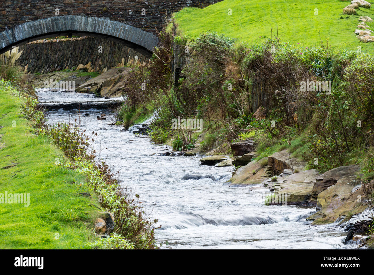 River flowing through the pretty village of Boscastle towards the sea ...