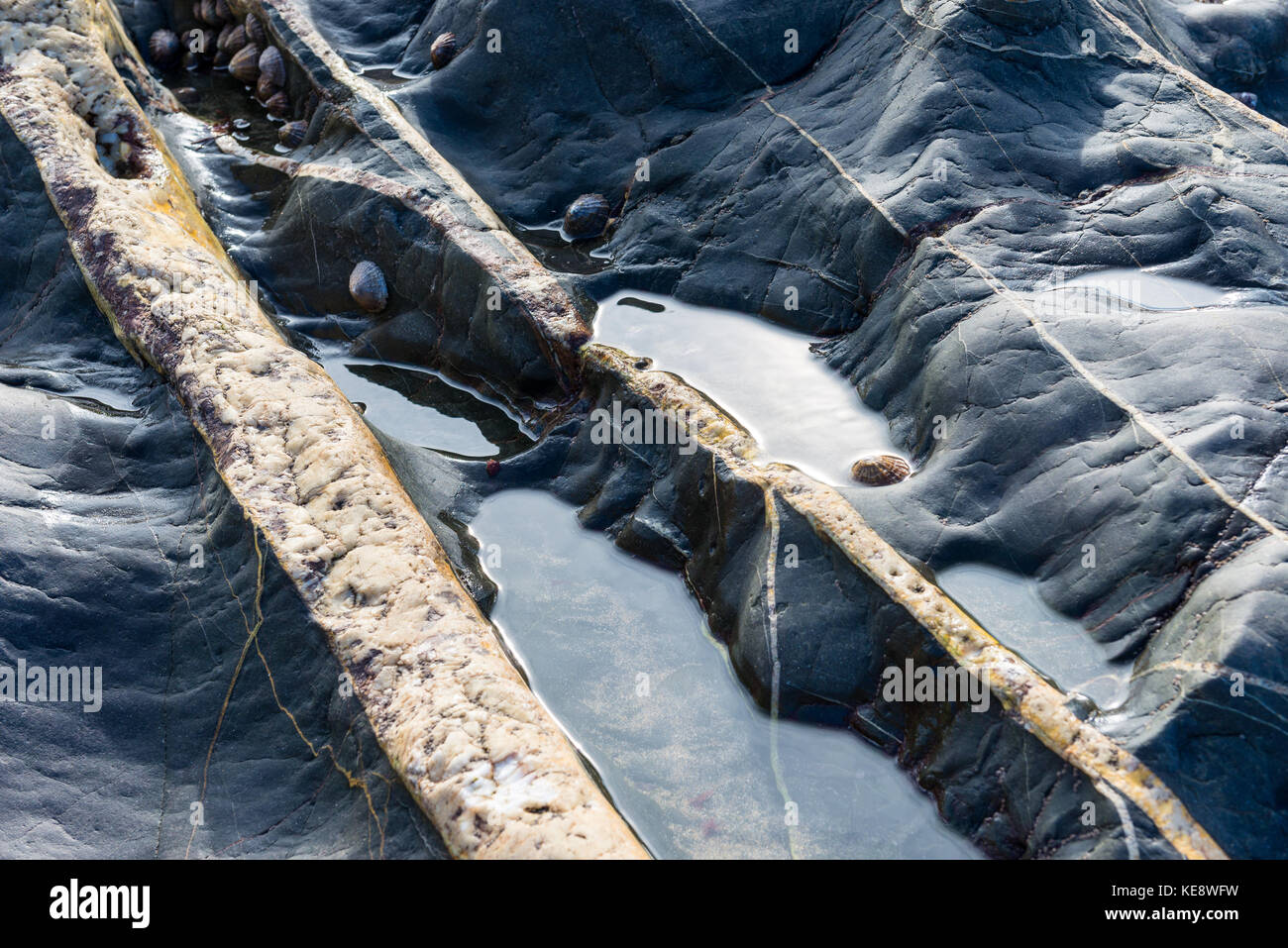 Beautiful rock pools hi-res stock photography and images - Alamy