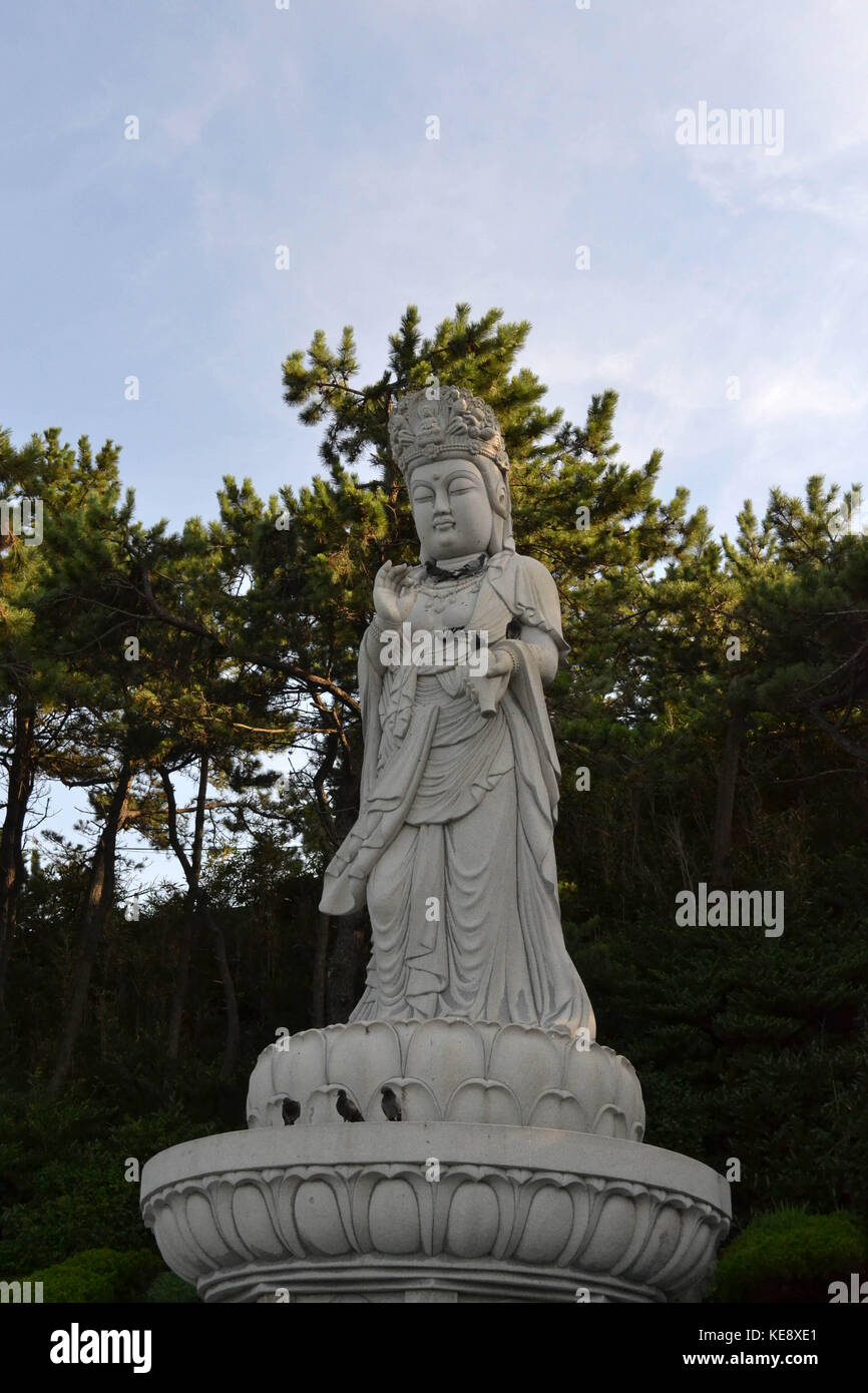 The statue of Buddha (Guanyin or Kanon?) surrounded by birds. Pic was ...