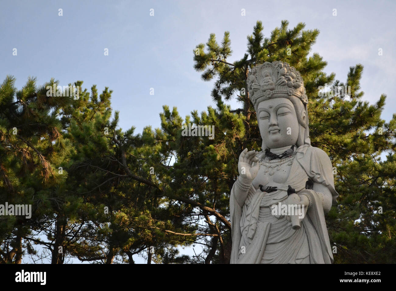 The statue of Buddha (Guanyin or Kanon?) surrounded by birds. Pic was ...