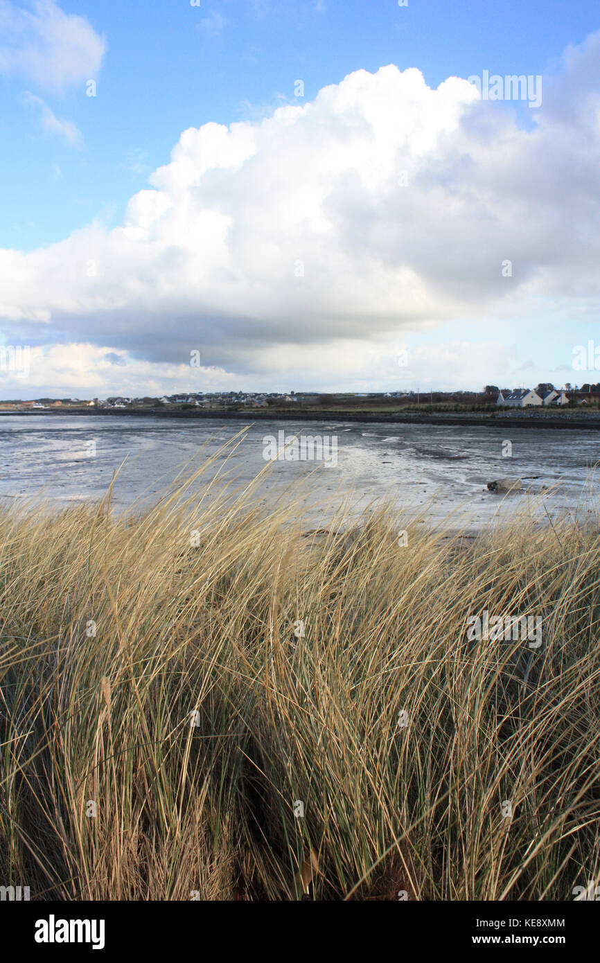 Fenit beach hi-res stock photography and images - Alamy