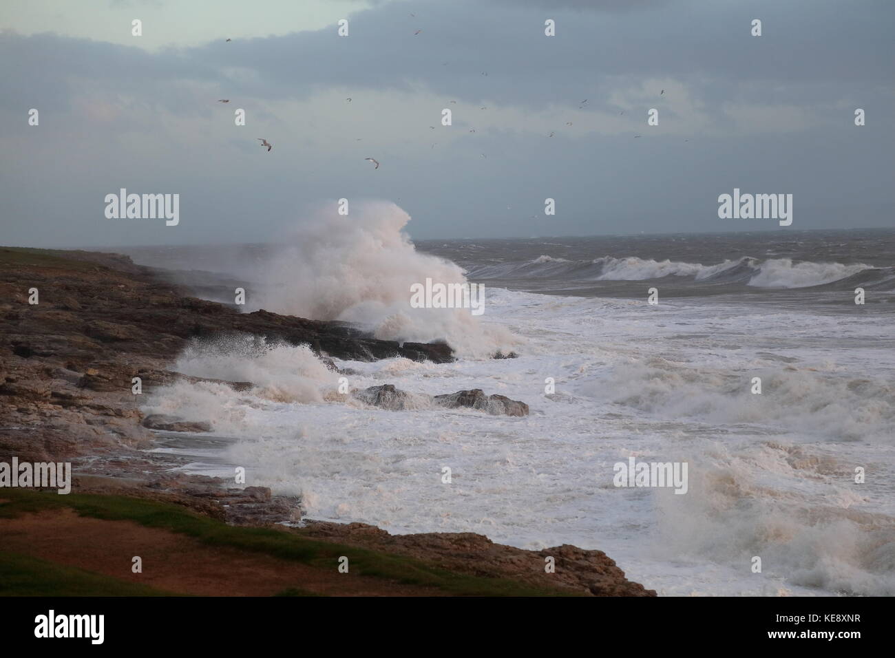 High winds driving in a stormy sea against the rocks resulting in huge ...