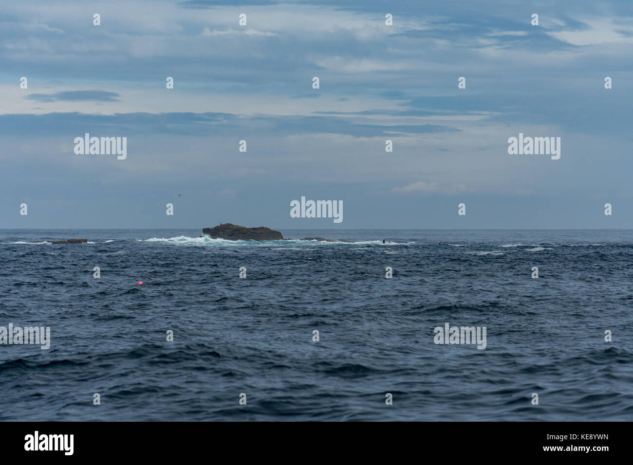 Kettles Bottom, the Manacles rocks, Cornwall Stock Photo - Alamy
