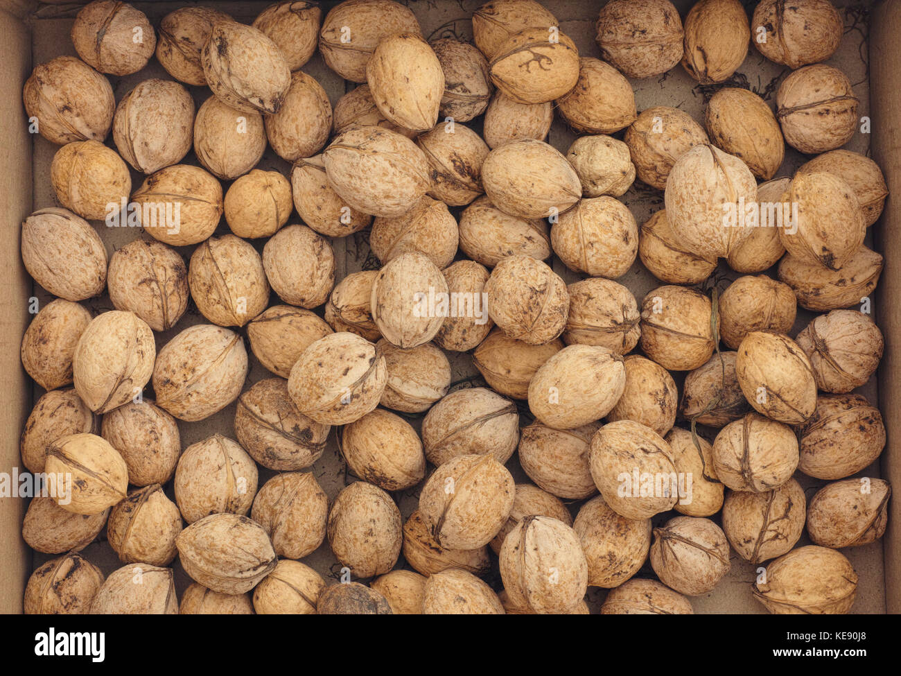 Fruit and nut harvest hi-res stock photography and images - Alamy