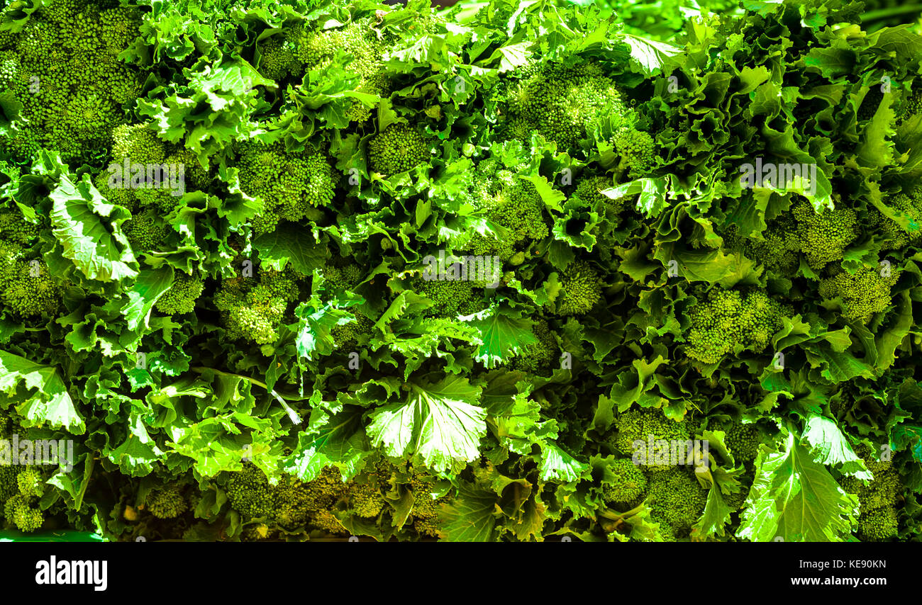 Fresh broccoli rabe - Cima di rapa - Brassica rapa Stock Photo - Alamy