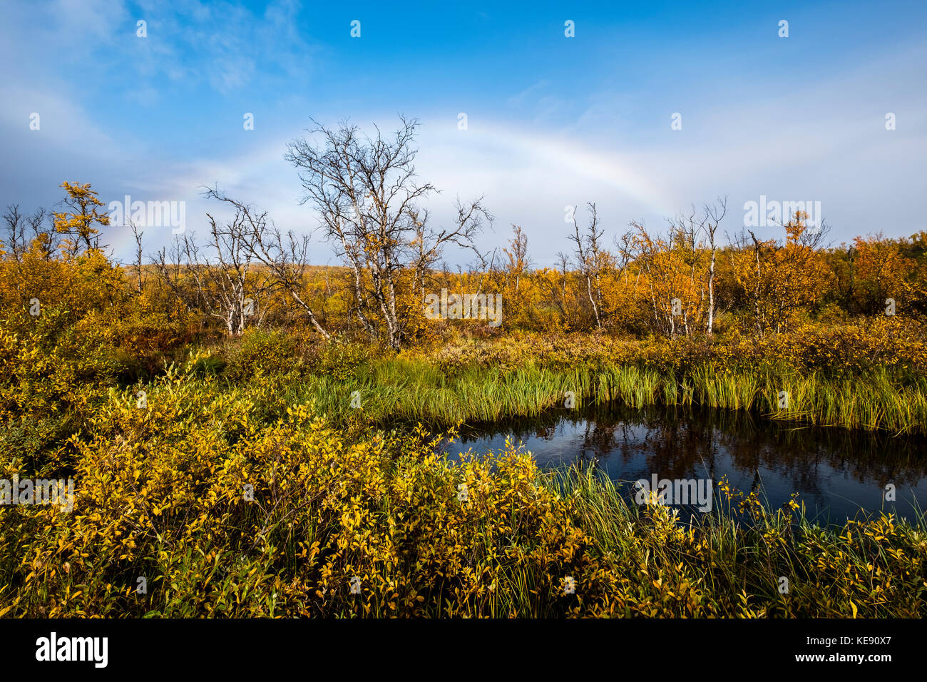 Small lake, autumnal landscape with rainbow, Norrbottens, Norrbottens ...