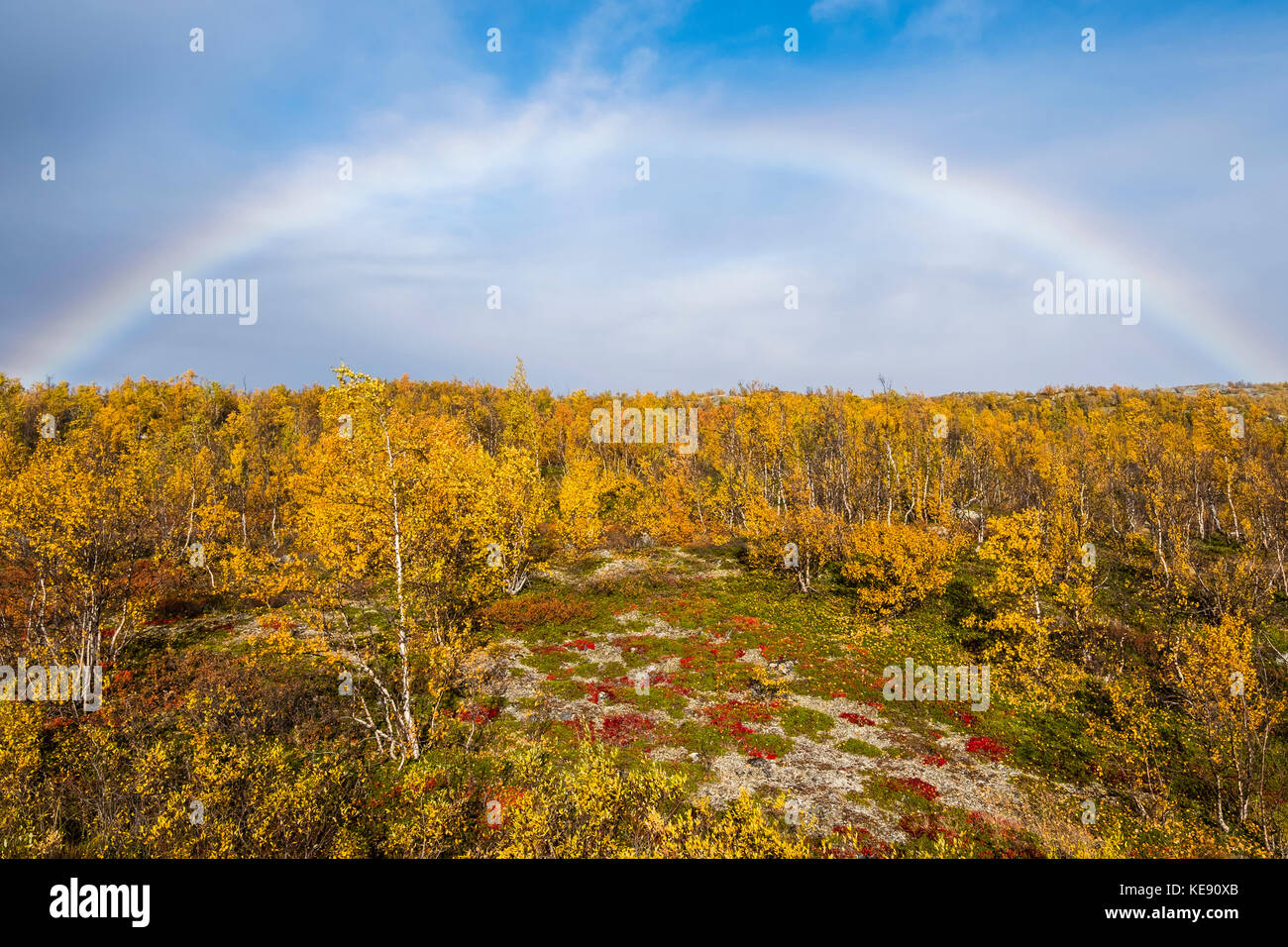 Autumnal landscape with rainbow, Norrbottens, Norrbottens län, Laponia ...